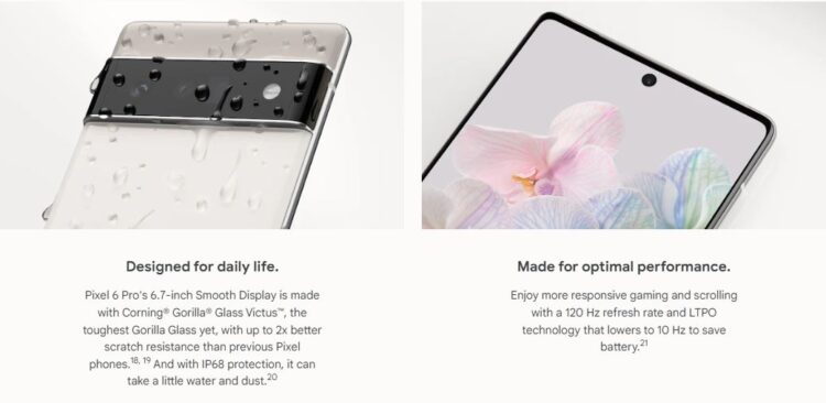 Google Pixel 6 Pro: Detailed Review, Specs - Teknonel