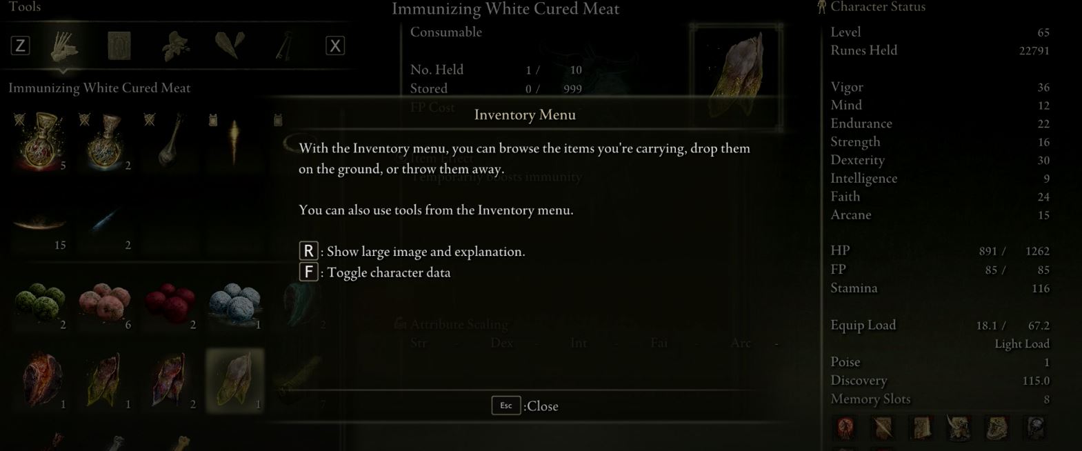 How To Pause The Game In Elden Ring - Teknonel