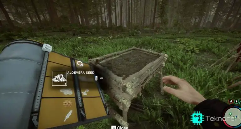 Sons Of The Forest: The Best Places To Find Aloe Vera - Teknonel